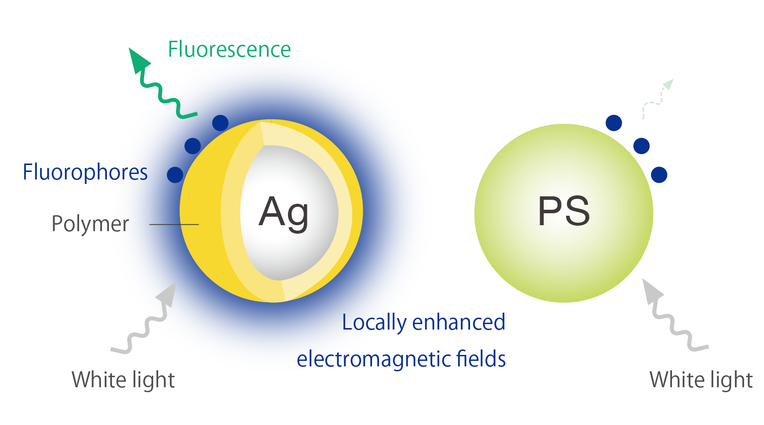 Dark-field spectroscopy of plasmon-enhanced scattering and fluorescence ...
