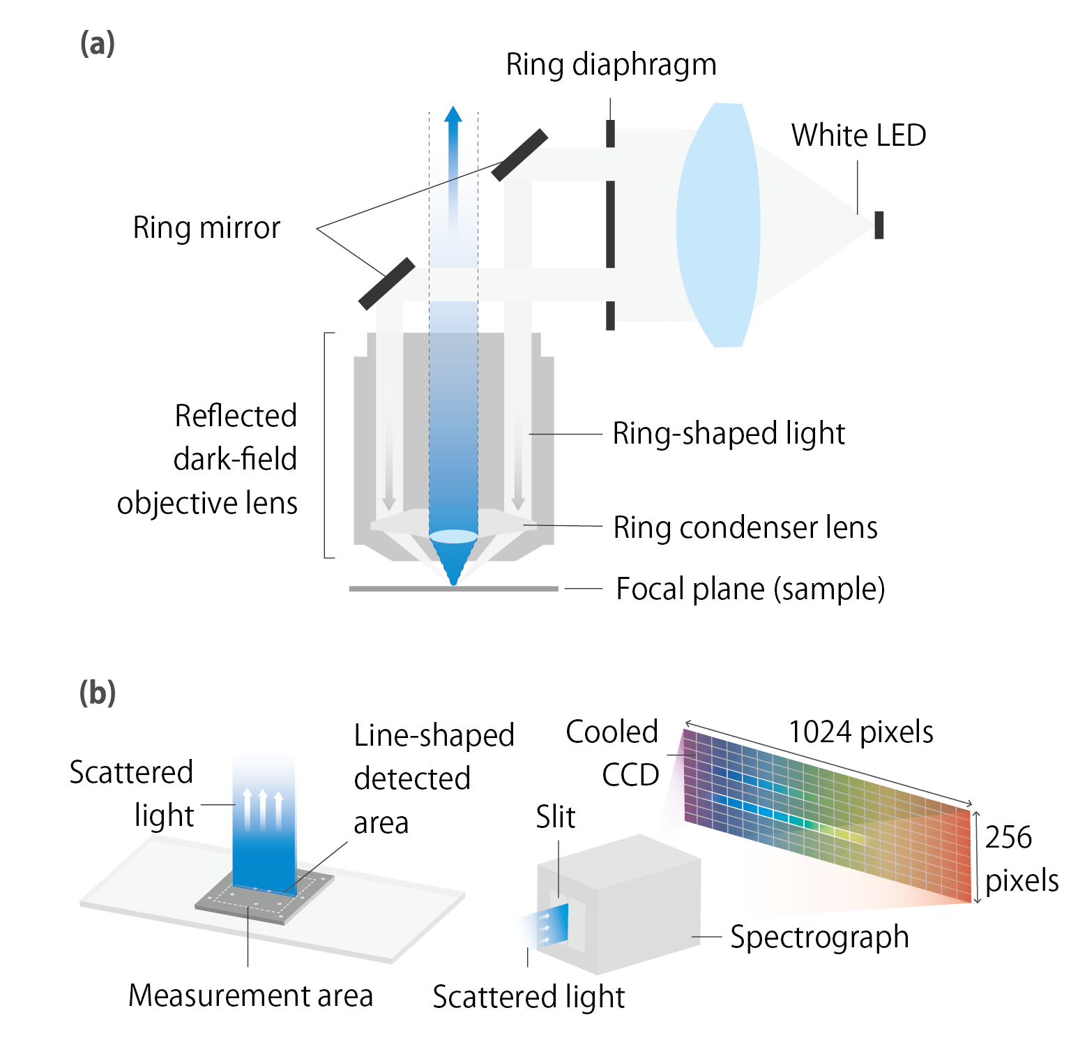 Dark-field spectroscopy of plasmon-enhanced scattering and fluorescence ...