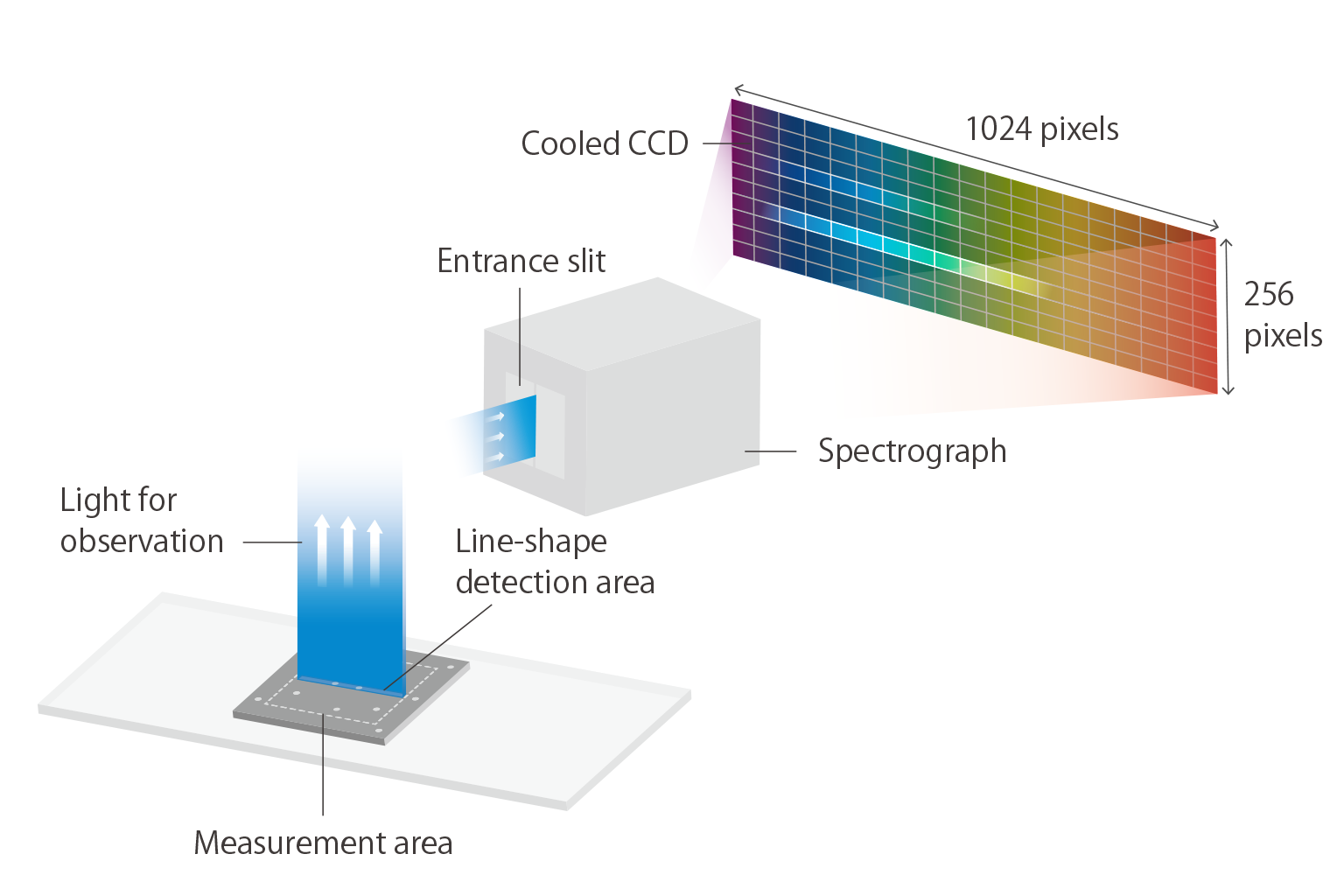 Dark-field spectroscopic imaging microscope InFocus λ DS | ScienceEdge Inc.